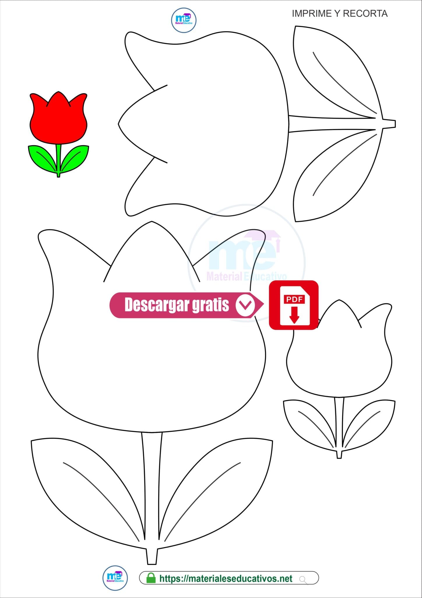 Moldes, plantillas, siluetas de flores para manualidades modelo 14 ...
