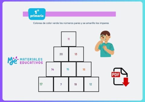 Fichas de trabajo: numeros pares e impares - Materiales Educativos